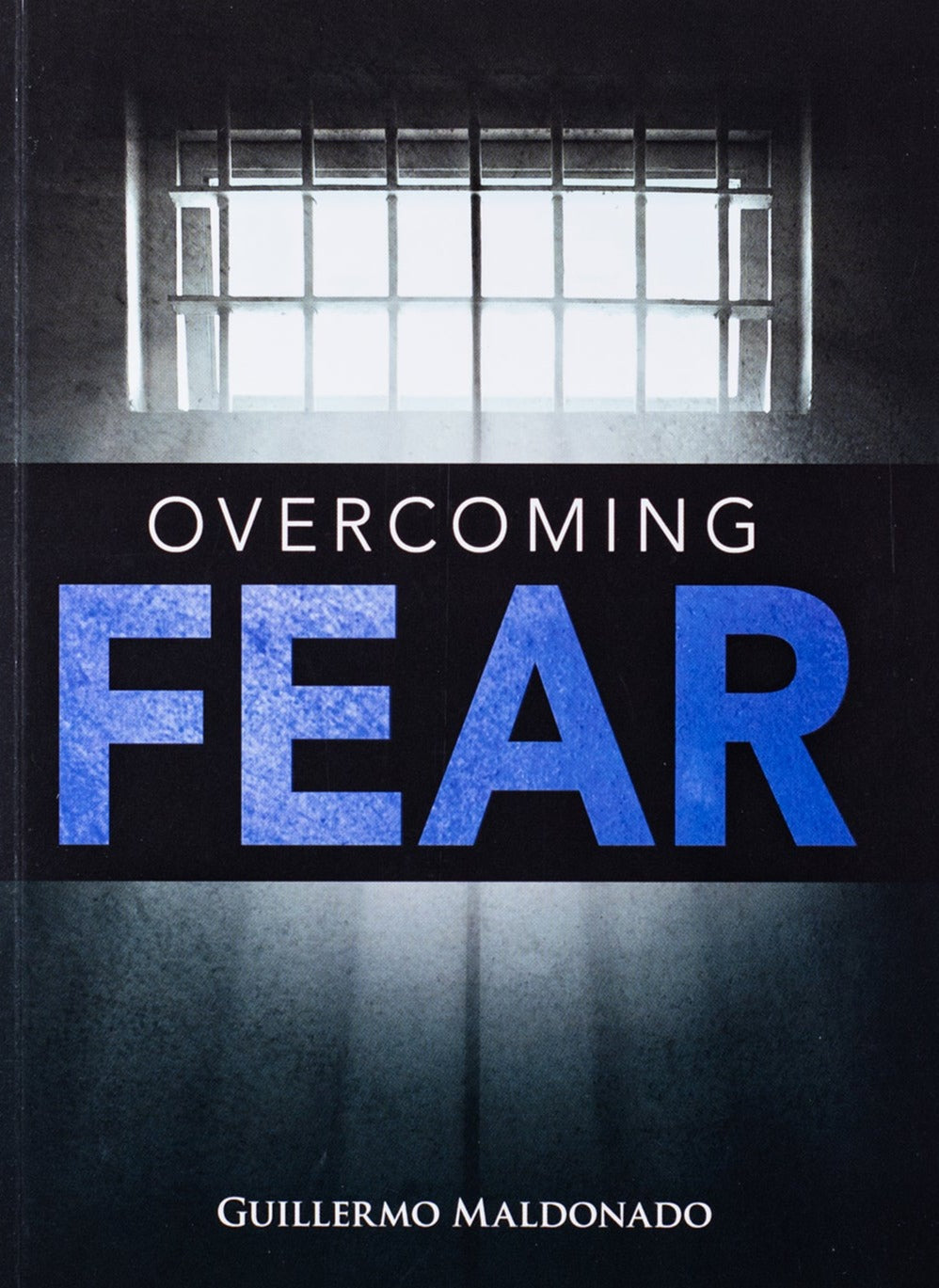 Overcoming Fear - Digital Book - King Jesus Store